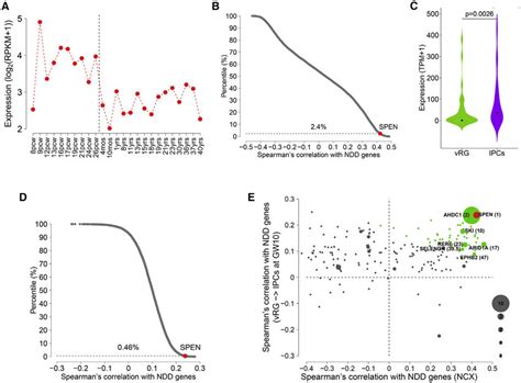 Spen Is A Critical Gene For 1p36 Deletion Syndrome A Expression Of