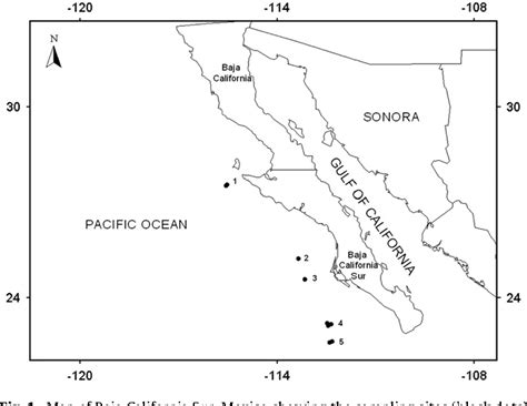 Figure 1 From Biomagnification Of Mercury And Its Antagonistic