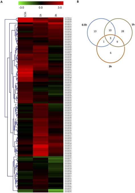 A Heat Map Of Hierarchical Clustering Performed For Selected Genes