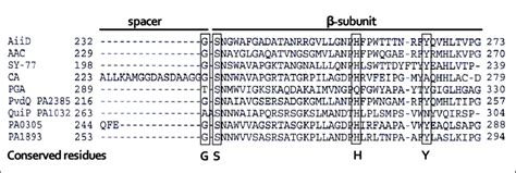 Sequence Alignment Of The Conserved Regions Of Several Acylases And