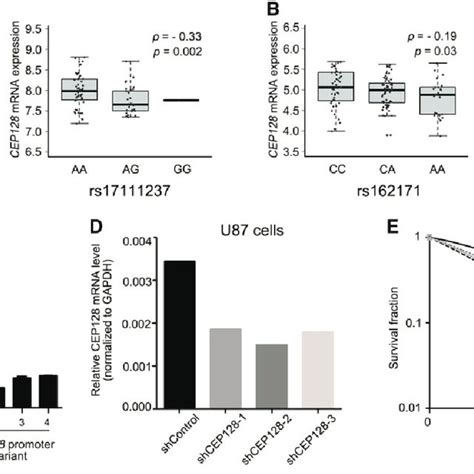 Expression Quantitative Trait Locus Eqtl Analysis And Functional
