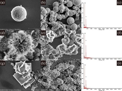 Scanning Electron Microscopy Sem And Energy Dispersive X Ray