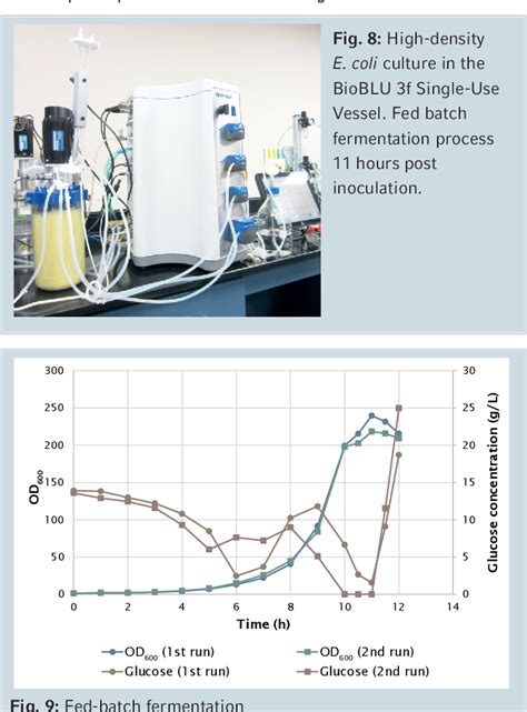 Figure 12 From A Beginners Guide To Bioprocess Modes Batch Fed