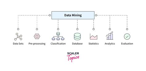 Skills Required For Data Mining Scaler Topics