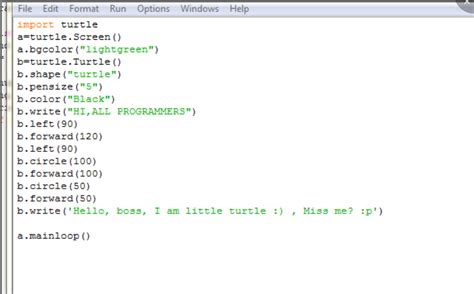 おしゃれな python turtle code ラスカルトート