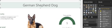 create a dynamic title in power bi updated