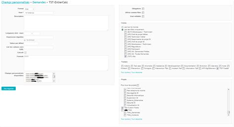 custom field not display on issue · issue 129 · annikoff redmine