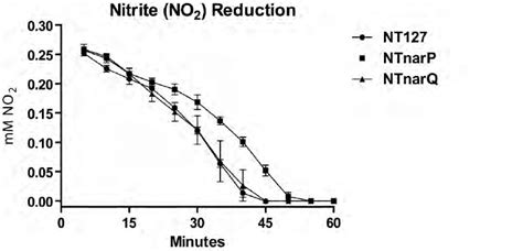 6 Effects Of Narp And Narq Mutations On Nitrite Reductase Activity In