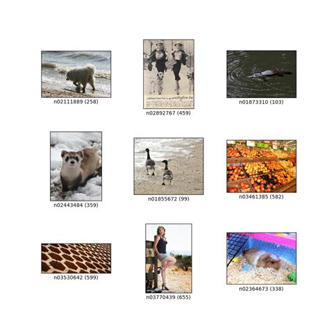 imagenet v2 tensorflow datasets