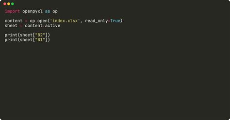 how to read excel file data with python