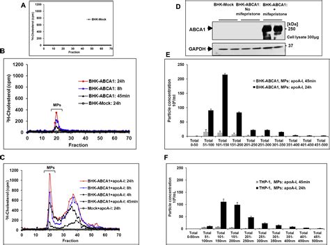 Atp Binding Cassette A1 Abca1 Mediates Microparticle Formation During