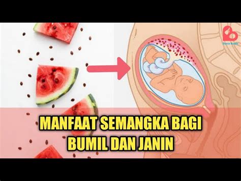 Temukan 7 Manfaat Buah Semangka Untuk Ibu Hamil Yang Bikin Kamu Penasaran