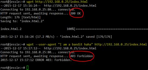 the ultimate guide to secure harden and improve