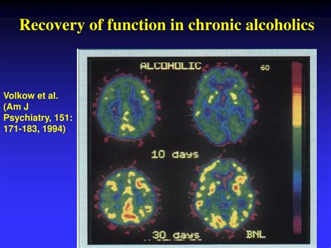 Ppt Understanding Addiction Biopsychosocial Approaches Powerpoint