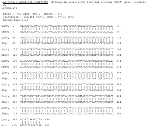 Rapid Detection Of Salmonella Enteritidis By Pcr Amplification Of The