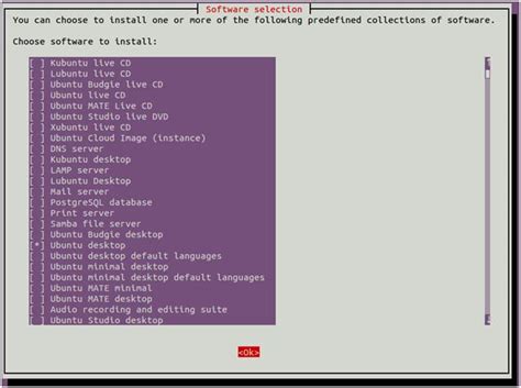 how to install vnc server on ubuntu 20 04