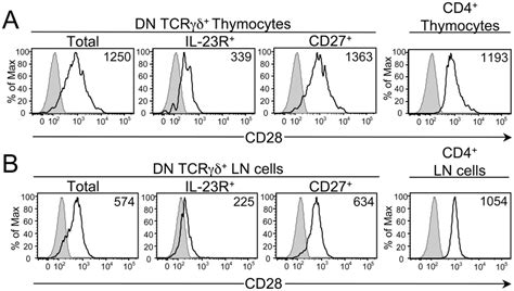 Comparison Of Cd28 Expression Levels On γδ T Cell Subsets In The Thymus