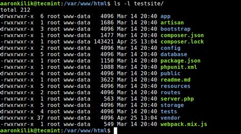 how to install laravel php web framework in centos