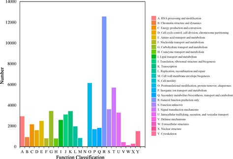 Sequencing Assembly Annotation And Gene Expression Novel Insights