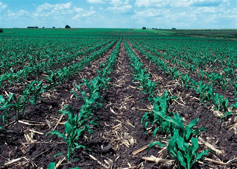 Conservation Practices That Save Crop Residue Management Nrcs
