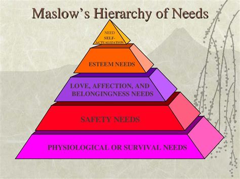 Maslow Hierarchy Of Needs Maslows Hierarchy Of Needs Nursing Theory