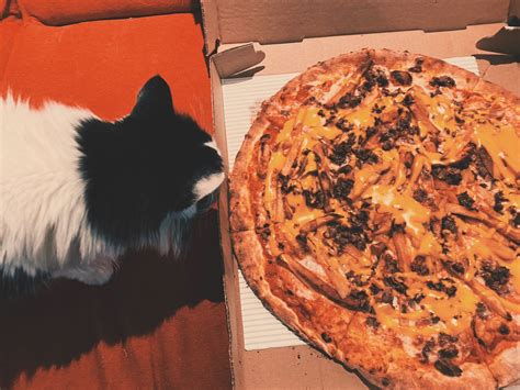 Fucked Up Looking Pizzas On Twitter Heres Me With A Philly