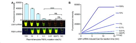 Identification Of The Sensitivity Of Flt3 F691l Detection System A