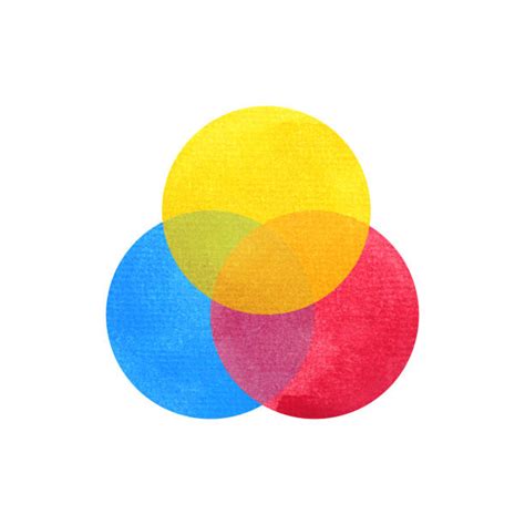 Best Three Overlapping Circles Illustrations Royalty Free Vector