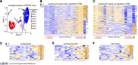 The Transcriptomic Response Of Pam Versus M Marinum Associated