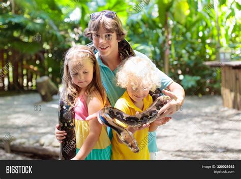 woman holding python image and photo free trial bigstock