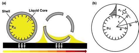 A Schematic Of The Process Through Which A Liquid Core Shell Particle