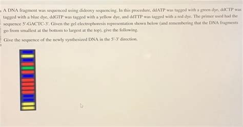 Solved A Dna Fragment Was Sequenced Using Dideoxy