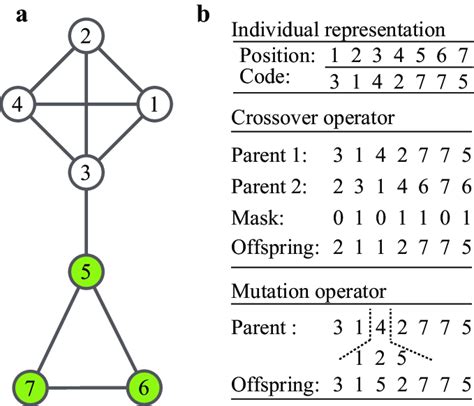 illustration of procedure of the multi objective genetic algorithm for