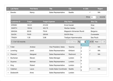 grid ui components javascript html5 jquery and angular ignite ui