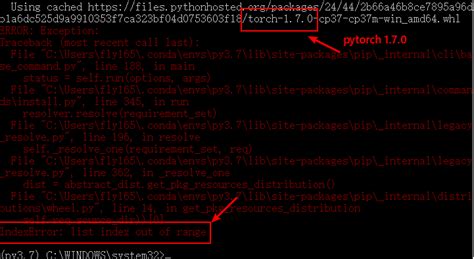 indexerror list index out of range liliancztbiurz