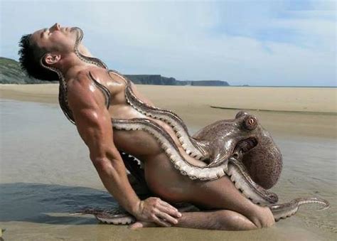 i ve seen enough hentai to hell you don t need to have seen hentai