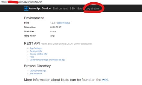 python azure function blob storage trigger is not