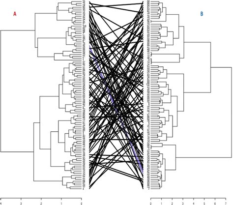 Comparison Of Hierarchical Cluster Dendrograms From Phenotypic A And