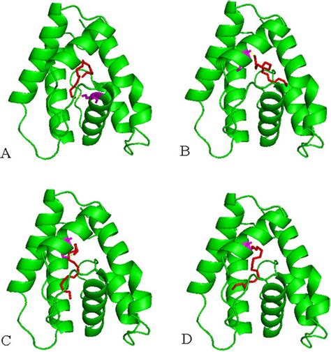 Molecular Docking Of Mvitpbp1 And Sex Pheromone Ligands A