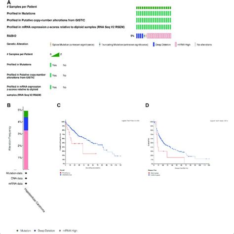 Genetic Alteration Of Rab42 In Hcc A Oncoprint Summarized The