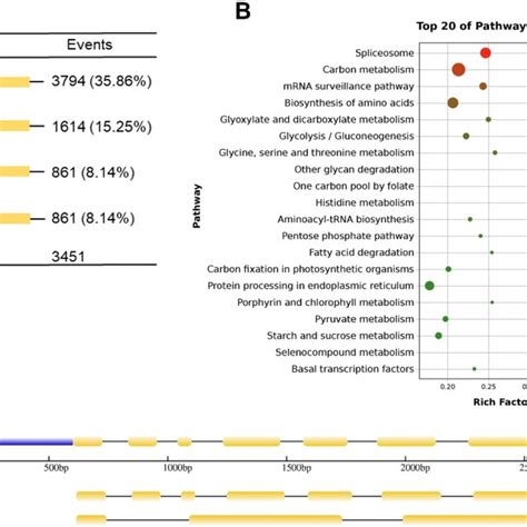 Functional Annotation Of The Tgy Full Length Transcriptome A Nr