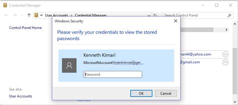Microsoft Edge Windows Security