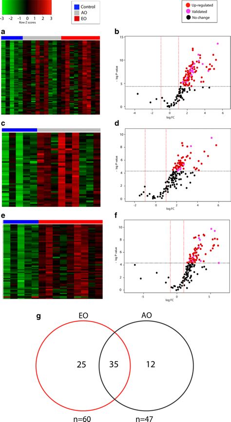 Altered Profile Of Plasma Mirnas In Sca7 Patients The Taqman Profiling