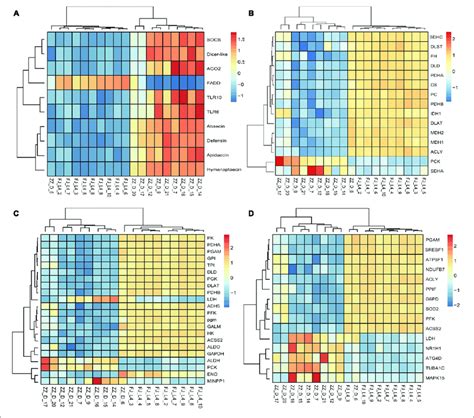 Heatmaps Of Candidate Differentially Expressed Genes Degs The