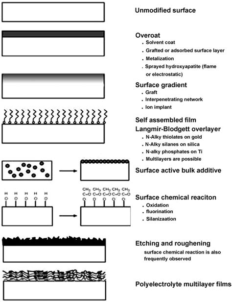 Schematic Representation Of The Surface Modification Approaches