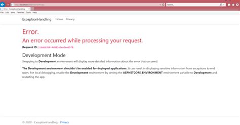 asp core exception middleware implementation pro code guide