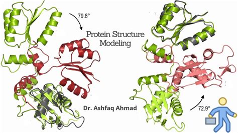 Tutorial Protein Structure Modeling Homology Modeling Youtube