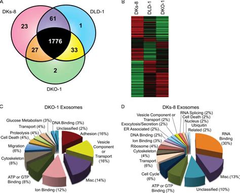 Results Of The Proteomic Analysis A Venn Diagram Of I