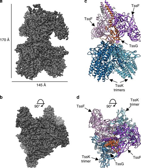 Cryoem Structure Of The Eaec Tssksn Tssf Tssg Complex A B Two