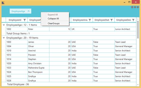 context menu in wpf datagrid control syncfusion